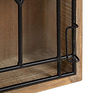 Kate and Laurel Megara Decorative Wooden Wall Hanging Curio Cabinet for Open Storage with Decorative Black Iron Door, Rustic Brown
