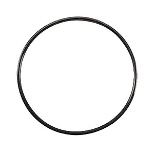 Everpure EV307119 Water Filter O-Ring (4" Diameter)