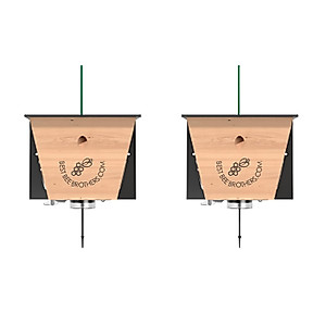 Carpenter Bee Traps for Outside - Carpenter Bee Trap, Turbo Trap 2.0 W/Bee Vault Wood Bee Traps - Carpenter Bee Traps for Outdoors Hanging - Bee Catchers for Outside (Black, 2 Pack)