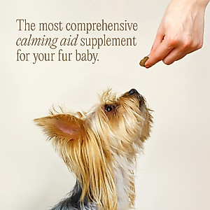 pawTree Chillax - Natural Calming Hemp Chews. Veterinarian-Developed Formula Helps Relieve Stress and Tension, Separation Anxiety and Soothe Fear from Storms - Large Soft Chews for Dogs (60 Count)