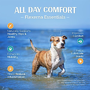TopDog Health - Flexerna Essentials Green Lipped Mussel Powder & MSM for Dogs - Natural Dog Joint & Mobility Support - Natural Glucosamine Chondroitin + Omega-3 Fatty Acids - Anti-Inflammatory - 3 Oz