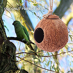 balacoo Coconut Bird House Hanging Natural Coconut Shell Bird Nest Bird Breeding Nest for Parakeets Budgerigar and Small Pet