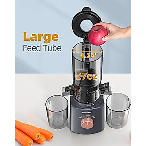 Juicer Machines, TUUMIIST Cold Press Juicer with 4.25'' Large Feed Chute Fit Whole Vegetable And Fruit, Masticating Juicer Easy To Clean, Gun Grey