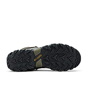 Columbia mens Newton Ridge Plus Ii Waterproof Boot Hiking Shoe, Cordovan/Squash, 10.5 US