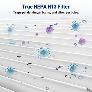 2 Pack AP-S0610L Replacement Filter Compatible with MOOKA AP-S0610L Air Purifier,3-in-1 True HEPA Filter, High-Efficiency Activated Carbon Air Filter
