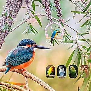 Wooden Bird Swings for Parakeets, Small Birds Hanging Cage Toys Supplies with Bell for Conures Budgies Lovebirds Cockatiel 2Pcs