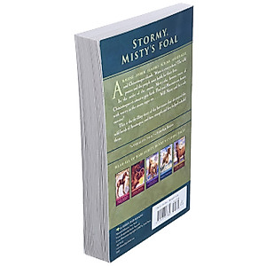 Stormy, Misty's Foal