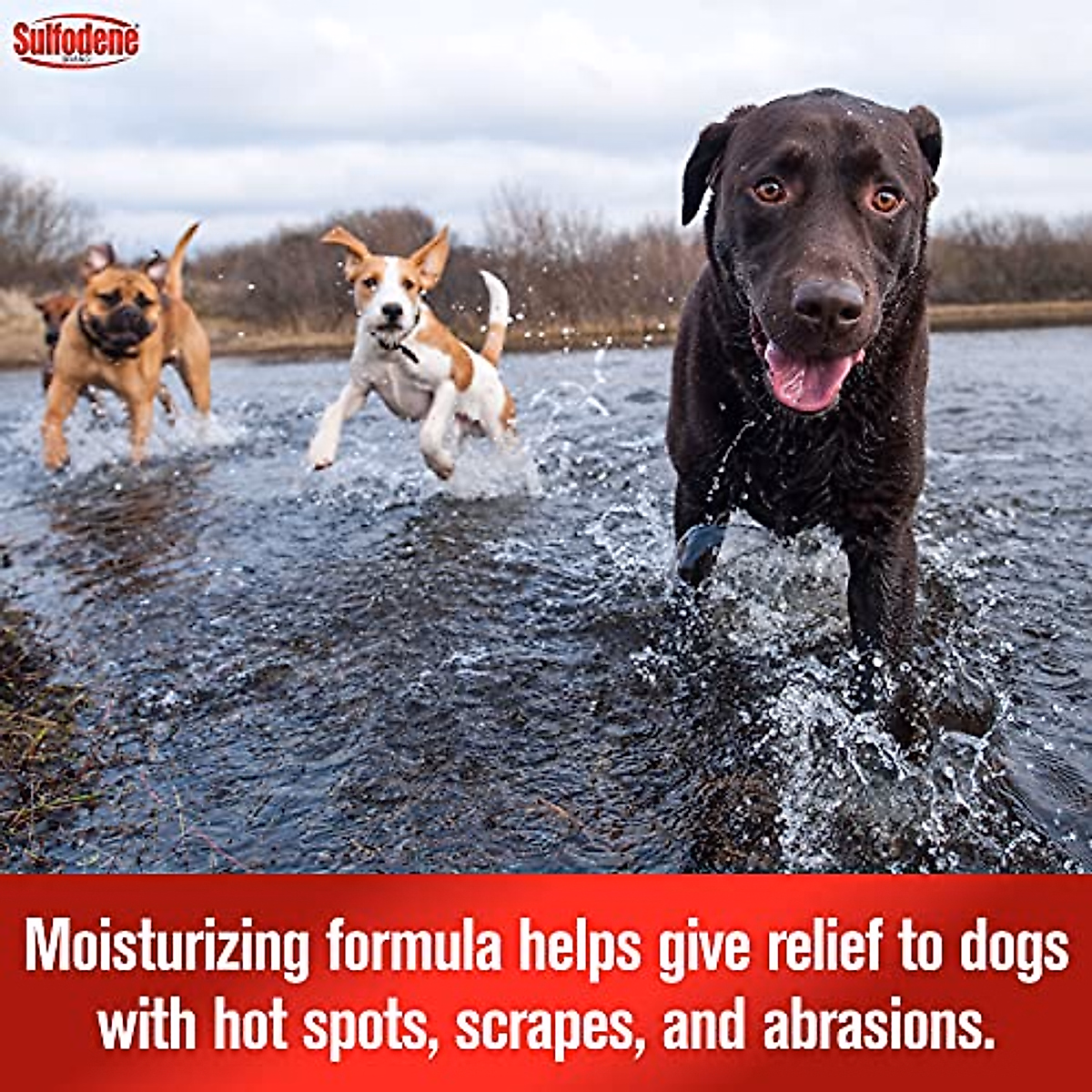 Sulfodene Hot Spot & Itch Relief Medicated Spray for Dog 8oz