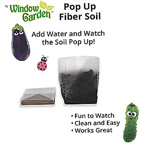 Window Garden Sow Much Fun Seed Starting, Vegetable Planting and Growing Kit for Kids, 3 Self Watering Planters, Soil, Seeds and Puffy Stickers. No Mess, Easy, Works Great! (Cucumber) & (Pumpkin)