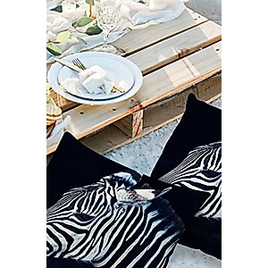 Outdoor Waterproof Pillow Covers for Patio Furniture Zebra Black Background Decorative Throw Pillow Cover Wild Animal Wildlife Pillowcases Set of 2 Cushion Case for Sofa Couch Chair 26 x 26 in