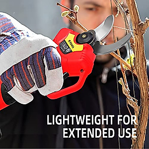 Cordless Pruning Shears, Electric Pruner with 2 Pack 21V Lithium Battery, SK5 Blades, 1.2 Inch Cutting Diameter (21V pruner)