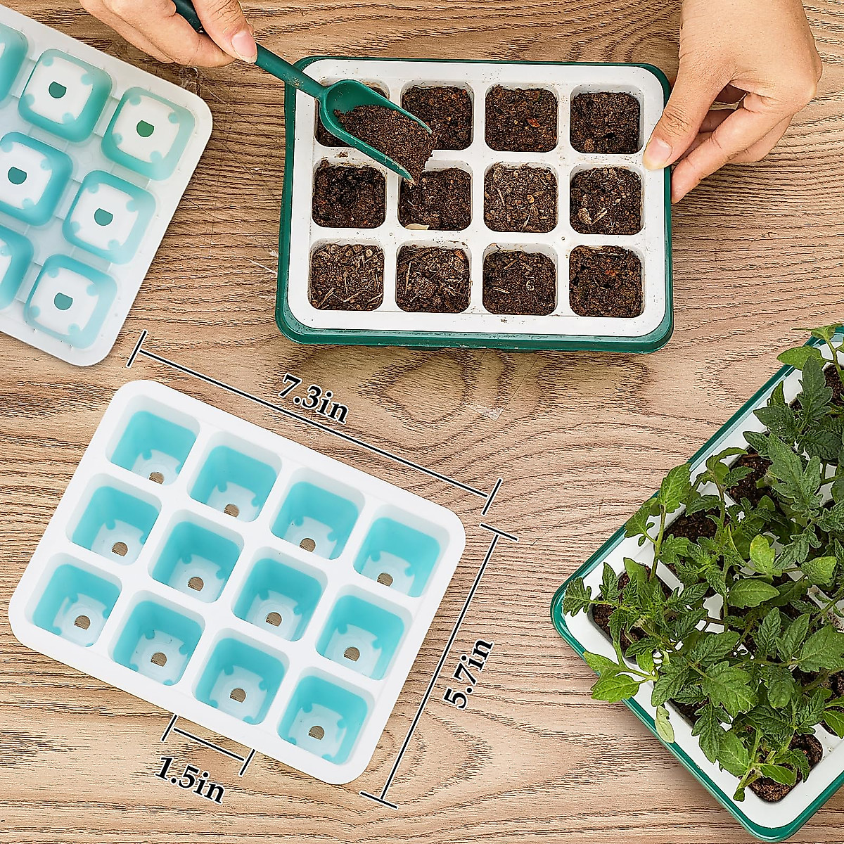 Hanaoyo Reusable Seed Starter Tray, Seed Starter Kit with Flexible Pop-Out Cells, 5 PCS Seedling Starter Trays for Seed Starter, Indoor Greenhouse Seeding Planting Growing