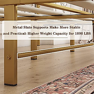 AIhomstyle Queen Size Bed Frame, Upholstered Queen Bed Frame with Velvet Tufted Headboard, Heavy Duty Metal Foundation, Bed Frame with Wood Slat Support, No Box Spring Needed, Noise-Free, Gold/Beige