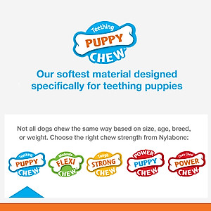 Nylabone Sensory Material Puppy Chew Toy Stick - Puppy Teething Toy for Boredom & Stimulation - Puppy Supplies - Peanut Butter Flavor, Small/Regular (1 Count)