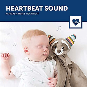 Security Baby Blanket - Plush Lovey Snuggler with Soothing Music & Sounds, Cry Sensor, Super Soft Sensory Blanket, Machine Washable, Baby Gift for Unisex Infants - Robin The Raccoon by Zazu Kids