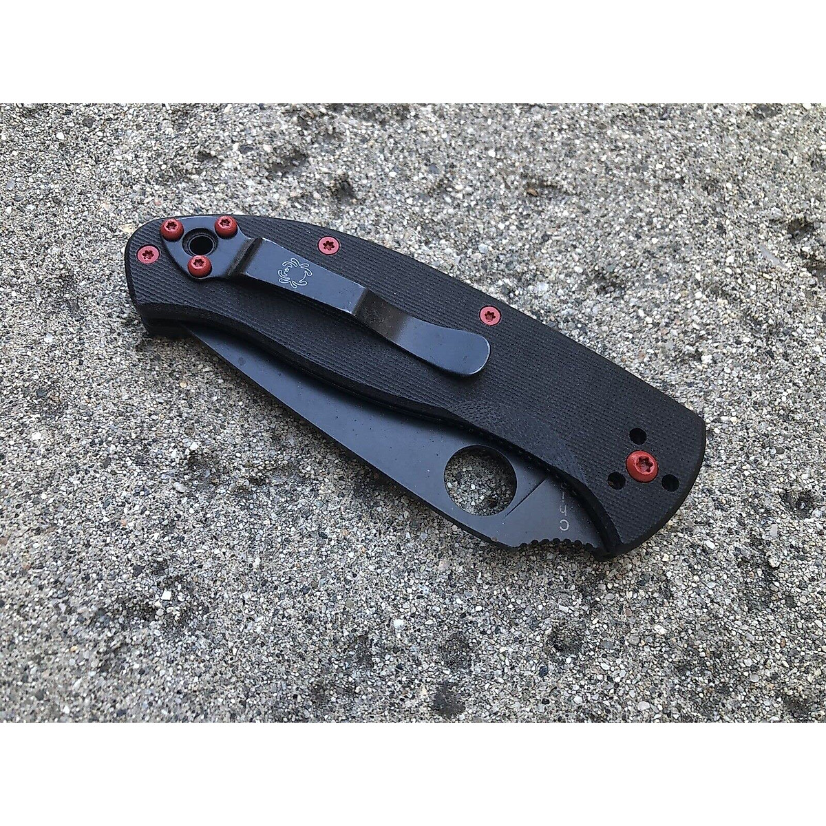 Stainless Steel Screws for Spyderco Ambitious Persistence Tenacious Resilience Pocket Knife