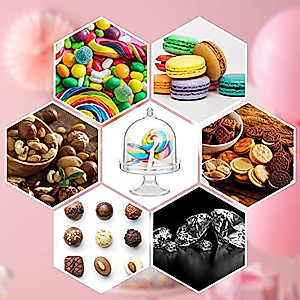48 Pieces Mini Plastic Cupcake Stand with Lid Tiny Cupcake Stand Round Cake Stand Mini Cake Holder with Lid Cake Display Stand with Cover Mini Candy Box for Candy Dessert Chocolate (Clear)