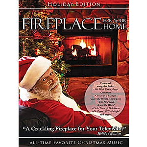 Fireplace for Your Home
