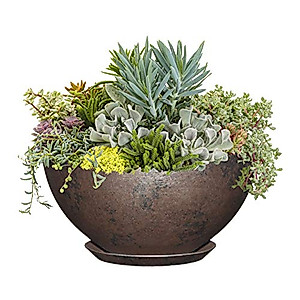 Classic Home and Garden 3/806LR/1 Premiere Collection Planter, Abigail 15", Lava Red
