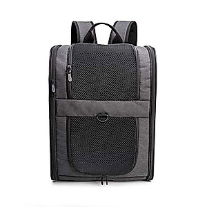 Apollo Walker Pet Carrier Backpack for Large/Small Cats and Dogs, Puppies, Safety Features and Cushion Back Support for Travel, Hiking, Outdoor Use (Black)