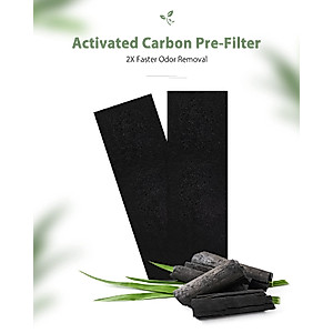 2-Pack Replacement Filter