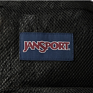 JanSport Eco Mesh Backpack for School, Black, 17” x 12.5” x 6” - Semi-Transparent Bookbag for Middle School Girls, Boys, Adults with Laptop Sleeve, Padded Back Panel - Large Student Backpack