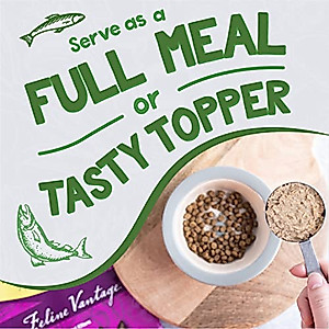 Earthborn Holistic Chicken Catcciatori Grain-Free Moist Cat Food 3 Ounce (Pack of 24)