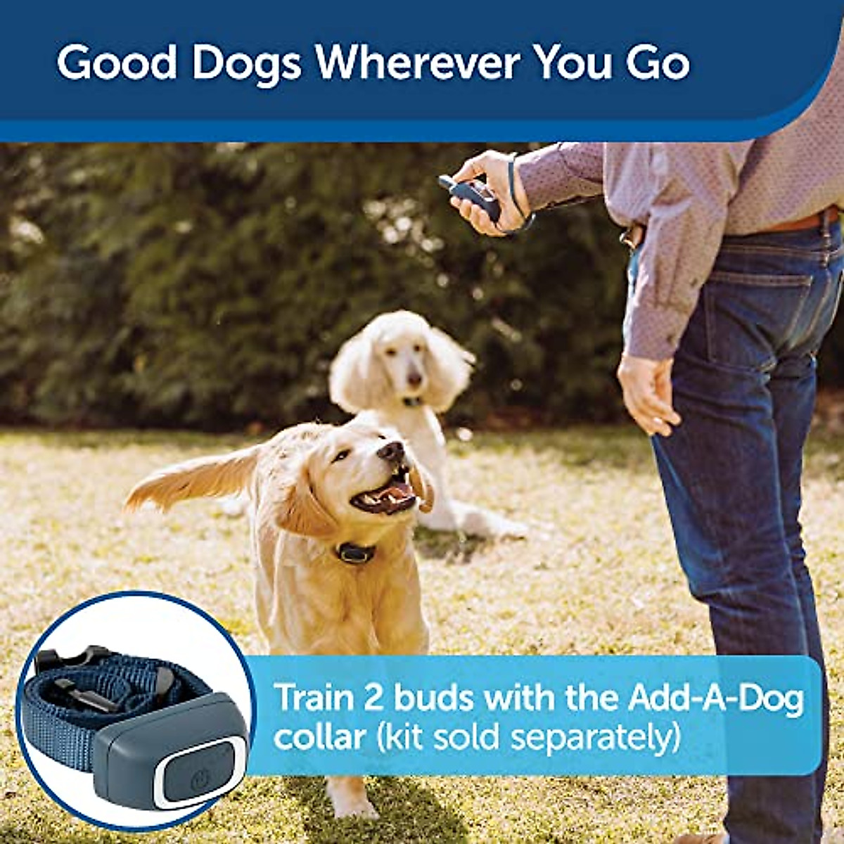 PetSafe Add-A-Dog Remote Training Collar – Perfect for Small, Medium and Large Dogs – Choose from Tone, Vibration, or 15 Levels of Static Stimulation – Waterproof and Durable – Rechargeable