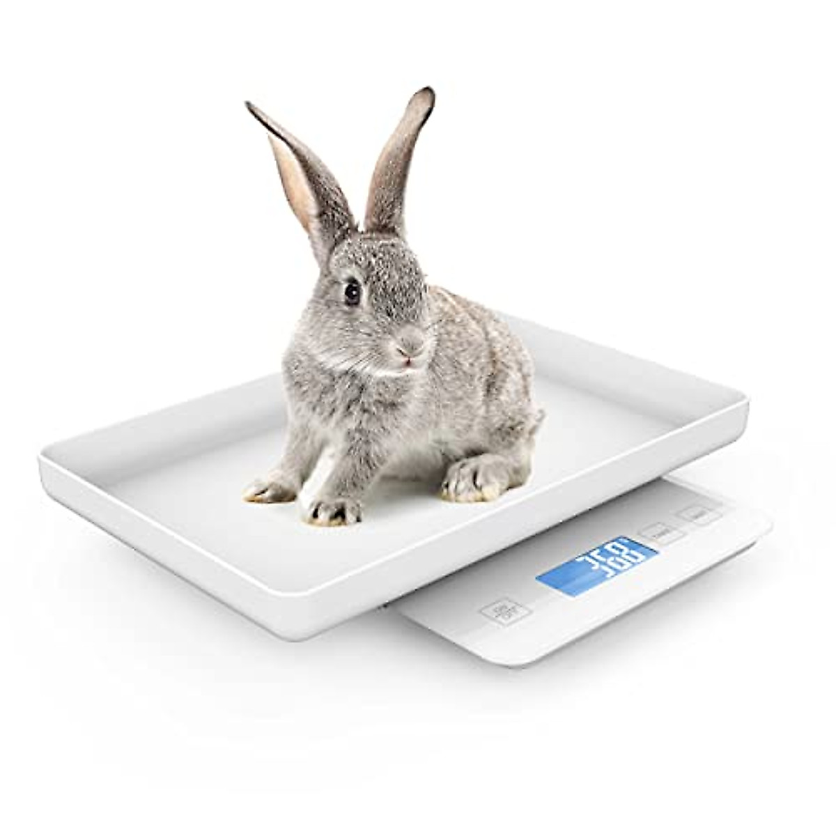 Multifunctional Newborn Pet Scale with a Tray to Weigh Cats and Puppy, 33lbs with Accuracy ±0.03oz, Suitable for Pets and Kitchen Use, Tray Size 11.5"x 9"in (White)