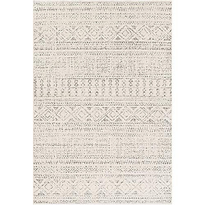 Artistic Weavers Victor Bohemian Moroccan Area Rug