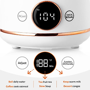 BEESTAR Small Electric Kettle with Automatic Heat Preservation,Glass Portable Kettle Temperature Control,6 Preset Programs,High Borosilicate Glass,0.6 Liter Capacity for Your Office or Kitchen