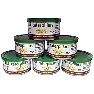 Canned Caterpillars (1.2 oz. 6 Pack) - Healthy High Protein Insect Treat - Hedgehogs, Sugar Gliders, Reptiles, Wild Birds, Chickens, Lizards, Bearded Dragons, Skunks, Opossums, Fish, Amphibians