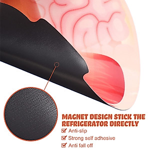 Capoda 63 Pieces Human Body Magnetic Puzzle Set Human Skeleton Organs Muscles Anatomy Magnetic Accents Body Parts Recognition Learning Kit for Home Decoration