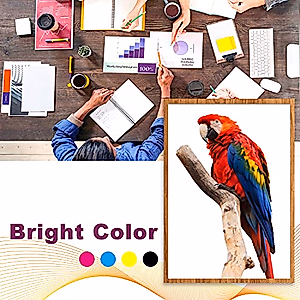 Mutikor Compatible Ink Cartridge Replacement for Brother LC3033 XXL LC-3033 Use with MFC-J805DW MFC J805DW XL MFC-J815DW MFC-J995DW MFC J995DW XL(Black Cyan Magenta Yellow) 4 Pack