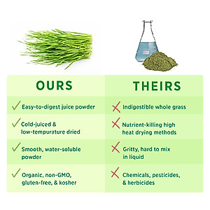 PURE SYNERGY Organic Barley Grass Juice Powder | Chlorophyll-Rich Greens Powder | Organic Cold-Pressed Barley Grass Juice | for Energy, Detox, and Digestion Support (5.3 oz. Powder)