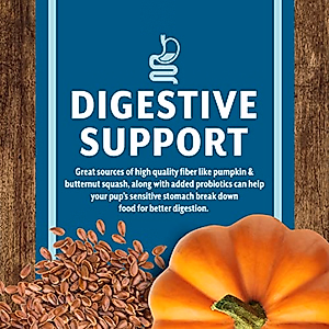 Venture Alaska Pollock Meal & Pumpkin Limited Ingredient Dry Dog Food