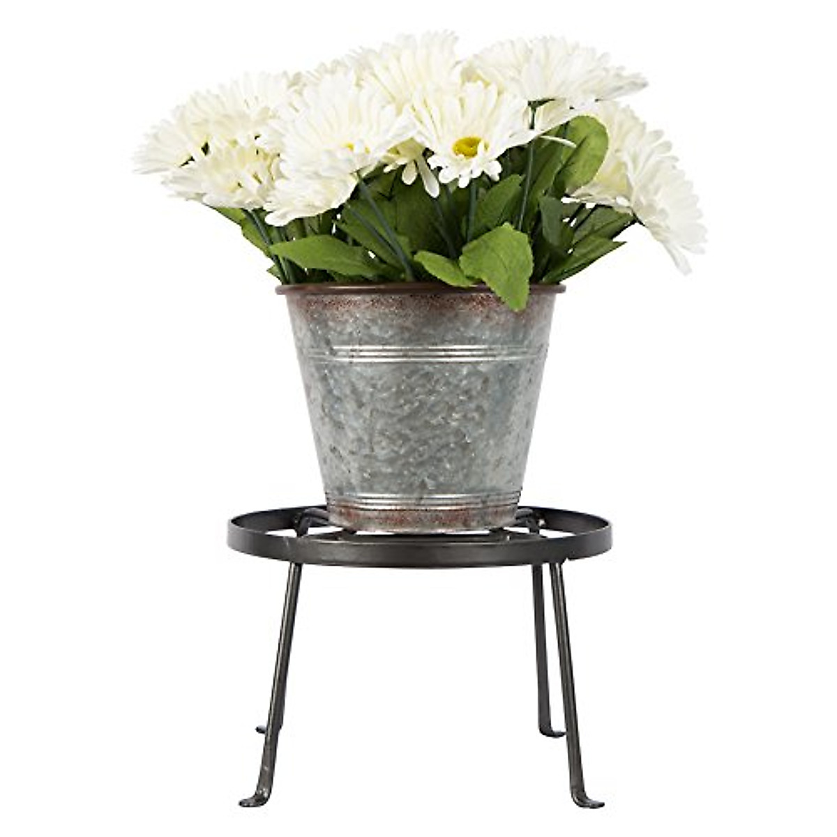 Achla Designs FB-30 Argyle Wrought Iron Plant Stand, 8-inch H, Graphite