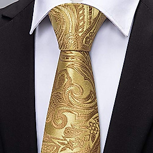 Barry.Wang Men Tie Set Paisley Gold Silk Necktie Pocket Square Cufflinks Formal Wedding Party Business Prom