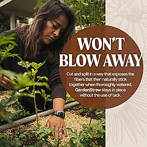 HealthiStraw GardenStraw, 3 cu ft, All-Natural Mulch for Vibrant Gardens, Vegetables Lawn Seeding - Water-Conserving, Weed-Suppressing Wheat Straw - Sustainably Sourced, Thoroughly Cleaned