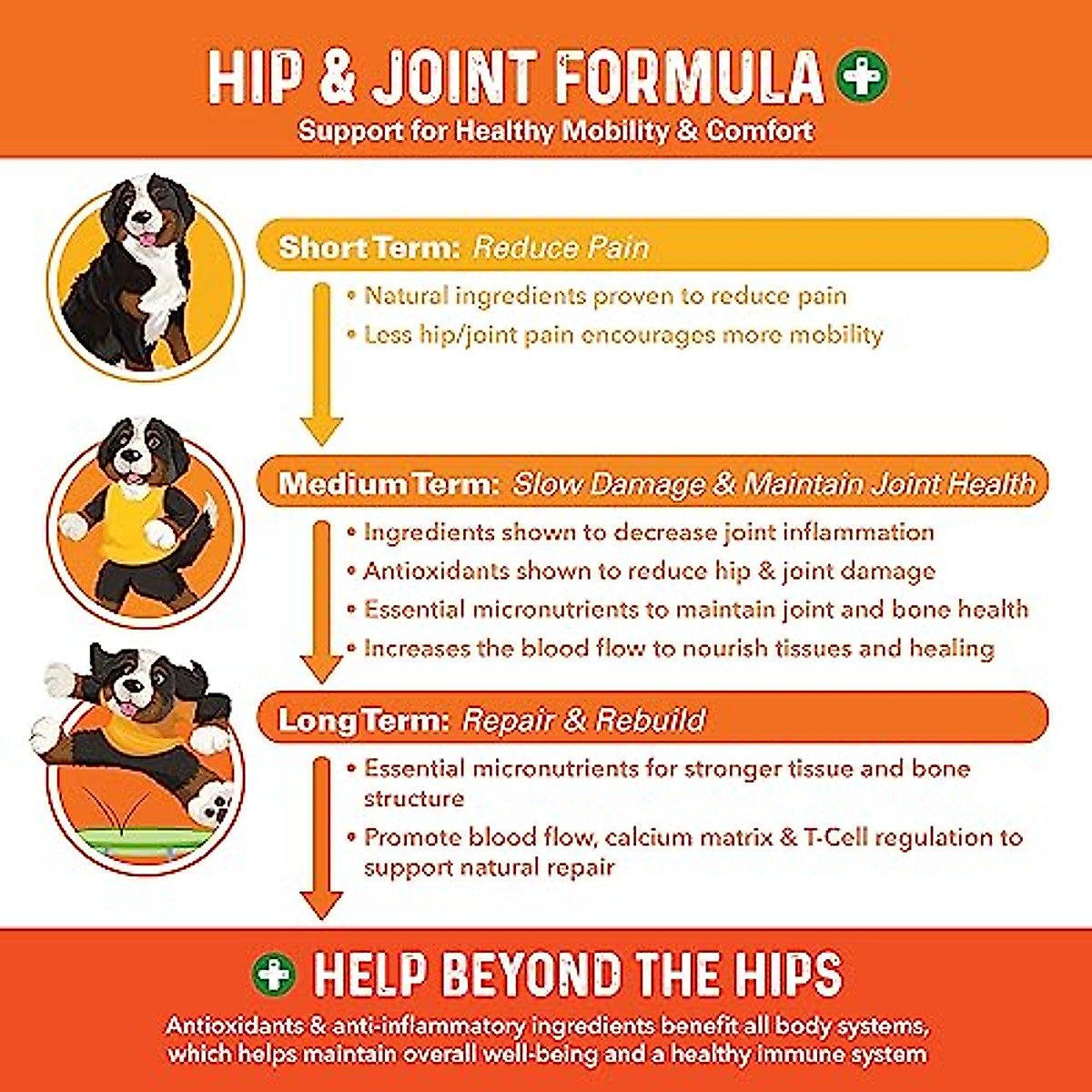 Bernie's Healthy Hips - Daily Dog Hip and Joint Supplement - 90 Soft Chews - Reduce Pain, Encourage Mobility, Slow Damage, Repair and Rebuild Hips and Joint Tissues