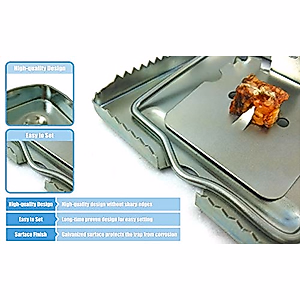 Pack of 4 made2catch Classic Metal Rat Traps Fully Galvanized - Humane Rat Traps That Work - Snap Rat Trap - Durable Reusable Rat Trap - Effective Rat Traps - 4 Traps