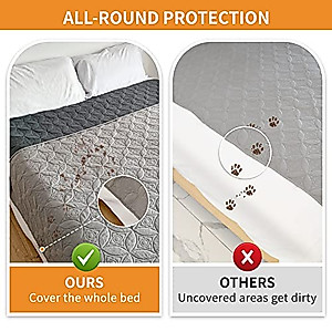 2 Packs Waterproof Dog Blankets Washable for Large Dog, All-Round Protector for Pets, Soft Reversible Dog Blankets Anti Scratches Dirty for Bed Couch Sofa Furniture (54"×82", Light/Dark Grey)