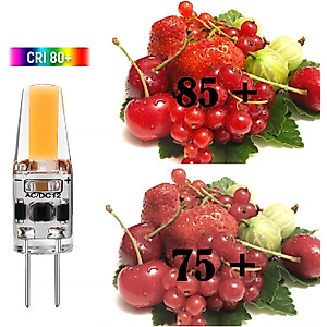 Yingoloong LED Bulb G4 3W Equivalent to 30W Halogen Lamp, LED Bulb G4 Warm White 3000K 300LM, Dimmable AC/DC 12V,Bi-pin LED Bulb Silicone G4 LED Bulbs(10 Pack)