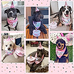 Dog Birthday Bandana Set - Cute Hat and Squeaky Cake Toy for Birthday Party Supplies Gift - Great for Small Medium Large Dogs Pink