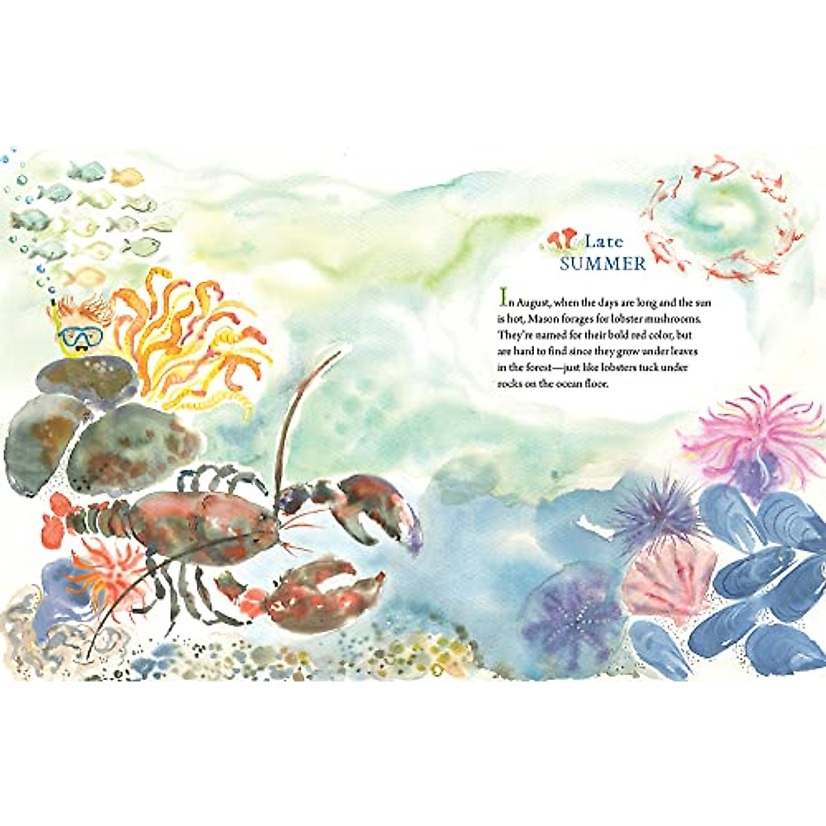 Mason Goes Mushrooming