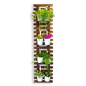 ShopLaLa Bundle - 4 Inch White Metal Flower Pots + Wooden Plant Holder, Vertical Garden Planter, Live Plant Wall System Outdoor Wall Mounted Planter, Hanging Herbs Planters, Green Wall Decoration