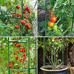 Doksving 3 Packs Tomato Cage 4ft Plant Support Garden Stake,Tomato Garden Cages for Plants, Vegetables, and Climbing Vines with Twist Tie