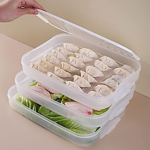 MinLia Multilayer Stackable Kitchen Food Storage Box with Cover Dumpling Fresh Box Food Holder Container Storage Tray(3-Layers,White)