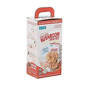 Back to the Roots Organic Pink Mushroom Grow Kit, Harvest Gourmet Mushrooms In 10 Days