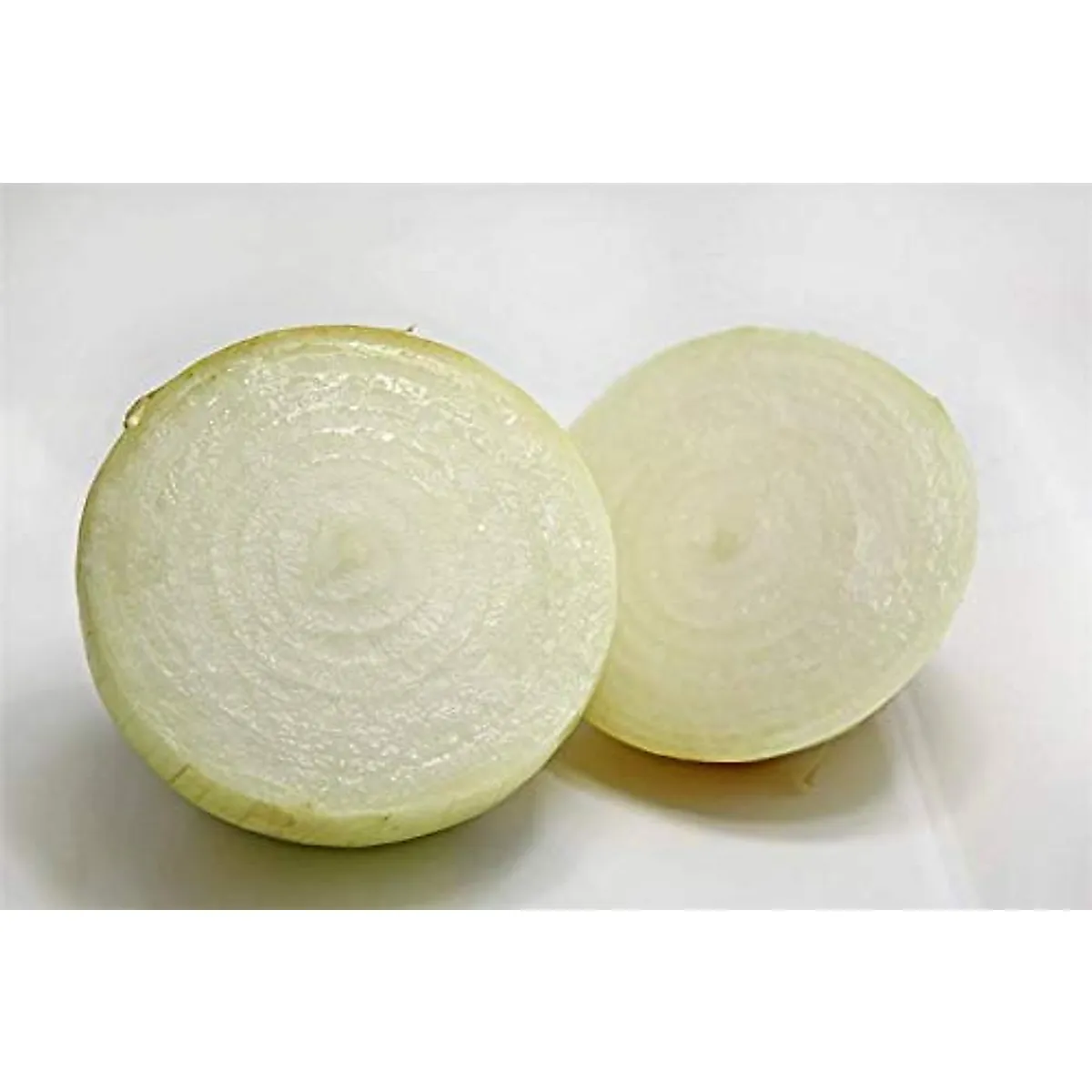 White Sweet Spanish Onion Seeds for Planting, 500+ Heirloom Seeds Per Packet, (Isla's Garden Seeds), Non GMO Seeds, Botanical Name: Allium cepa, Great Home Garden Gift